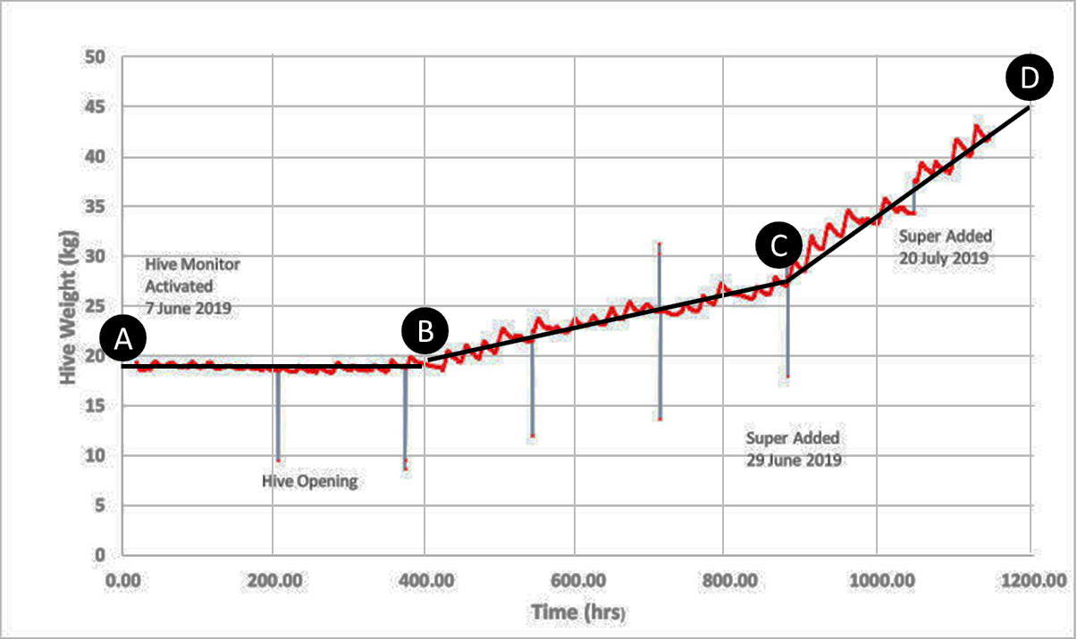 Worksheet 1: Beehive Mass Analysis – SOPHia Physics